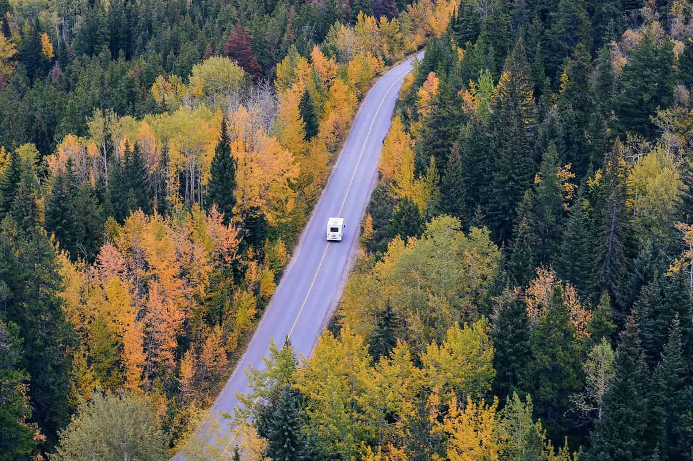 Is Tree Surgery a One-Time Fix or a Long-Term Plan? - Borrowash Tree ...